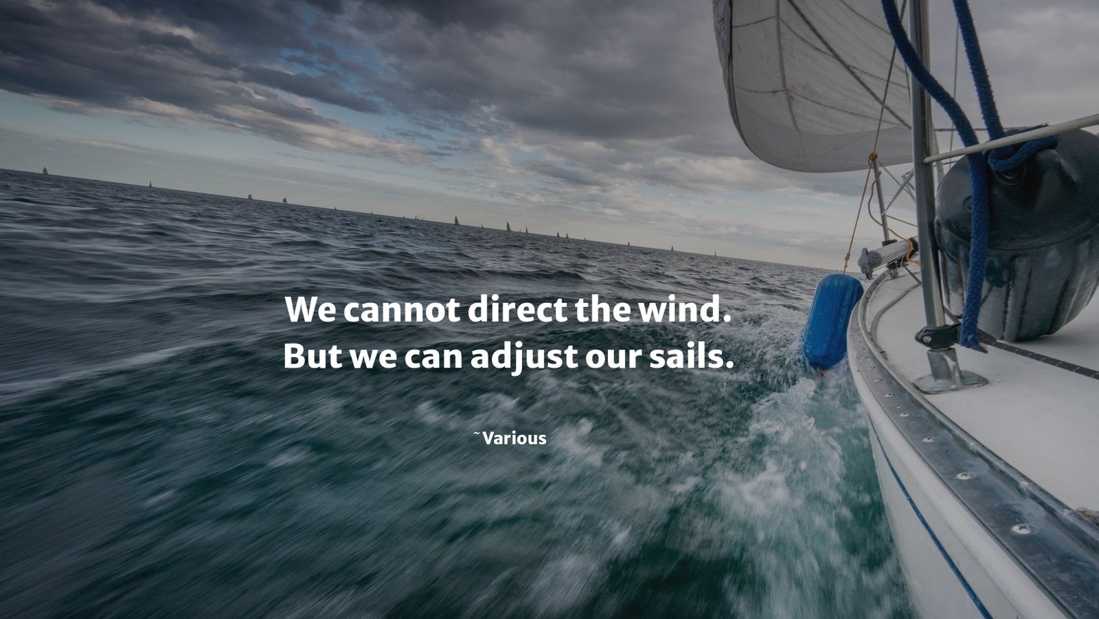 We Cannot Direct The Wind, But We Can Adjust The Sails